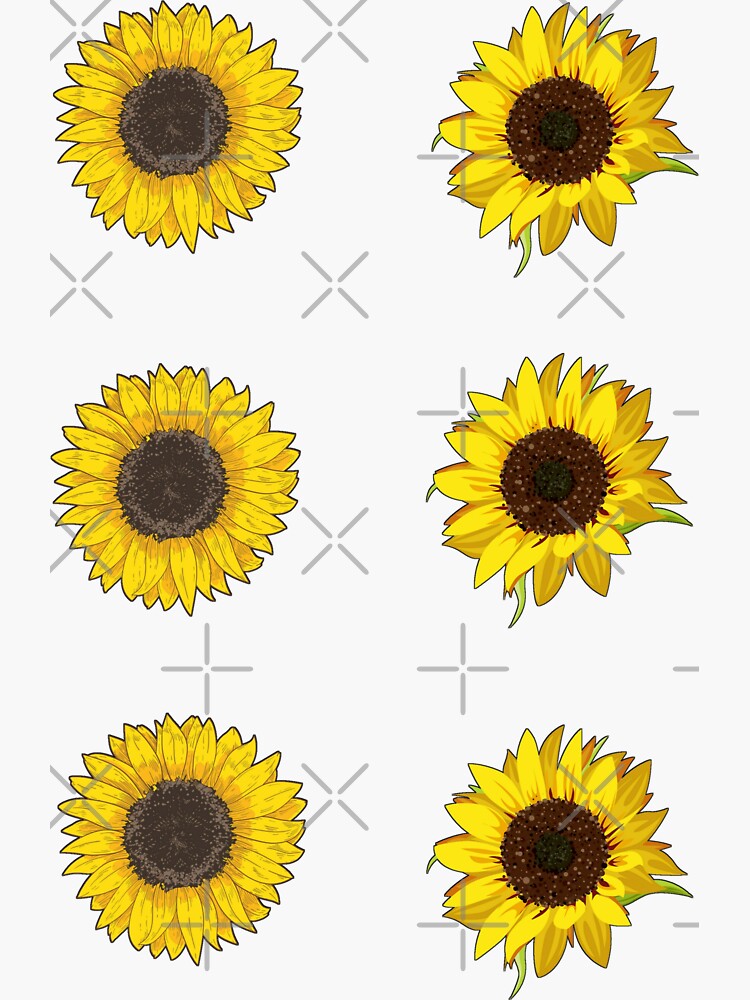 "Sunflowers sticker set pattern (pack)" Sticker for Sale by redakhatib ...
