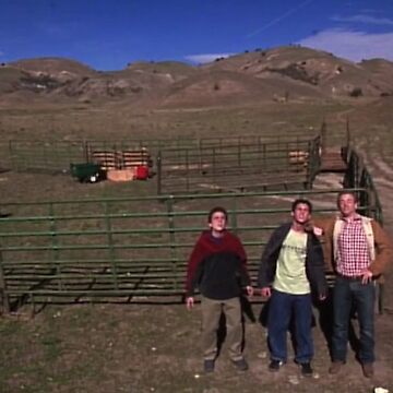 Pegatina for Sale con la obra «Komodo 3000» de KK842 | Redbubble