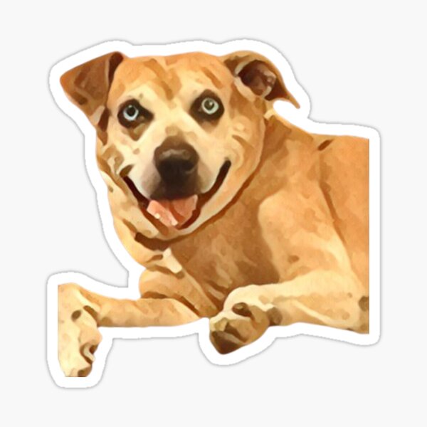"Dog funny smile sticker" Sticker for Sale by caileag | Redbubble