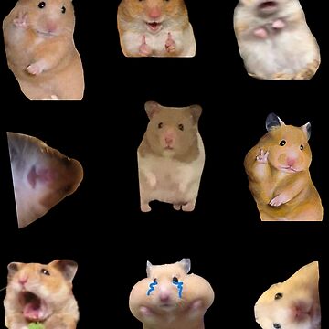 "Mega pack hamster memes peace sign and screaming hamster" Sticker for ...