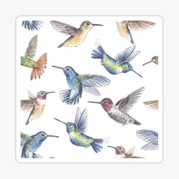 "Hummingbirds" Sticker by katerinamk | Redbubble