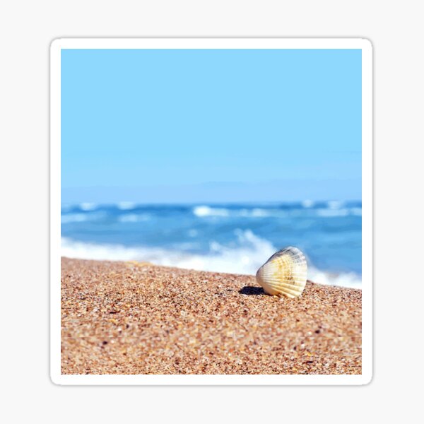 "Starfish and seashell on the summer beach" Sticker for Sale by ksn ...