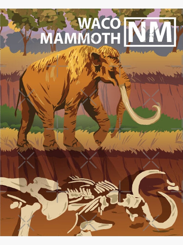 "Waco Mammoth National Monument " Sticker for Sale by triplew427 ...