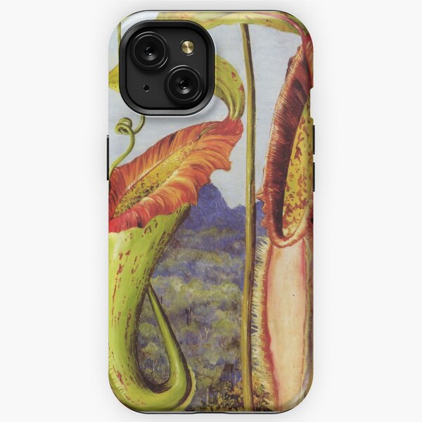 "Nepenthes carnivorous pitcher plant - vintage painting" iPhone Case ...