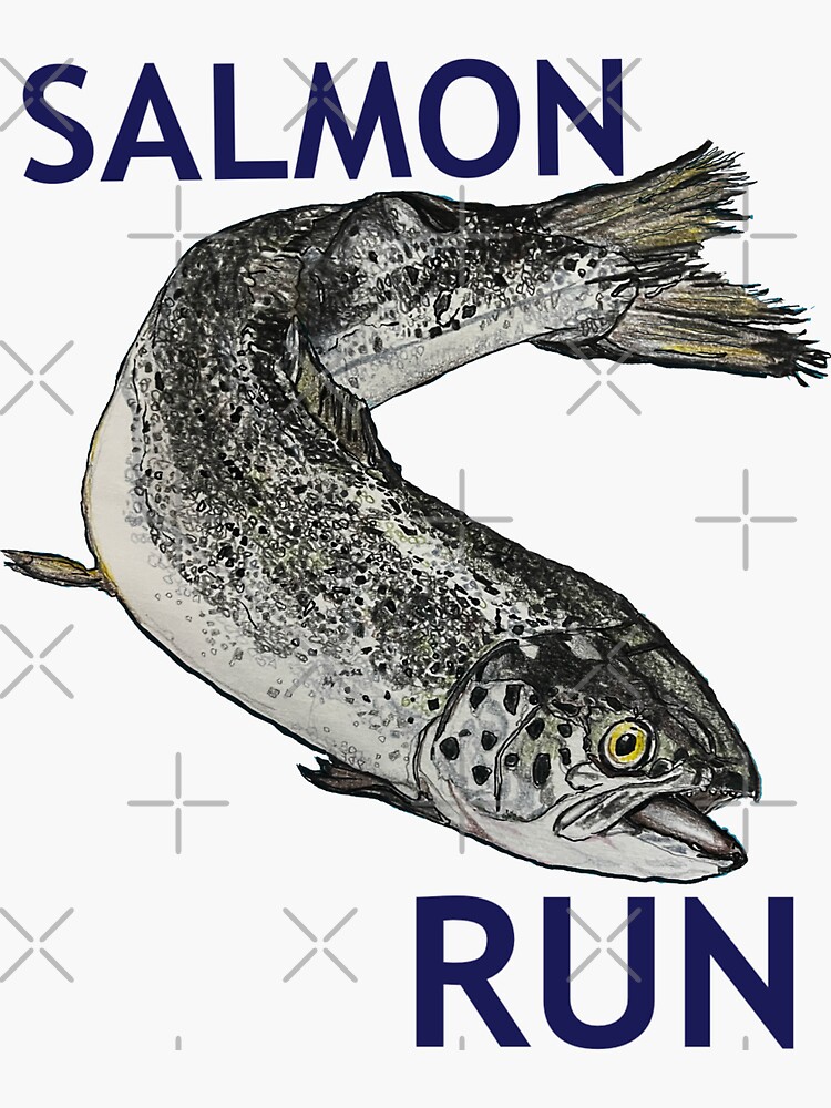 "SALMON RUN in WHITE" Sticker for Sale by JDFehlauer | Redbubble