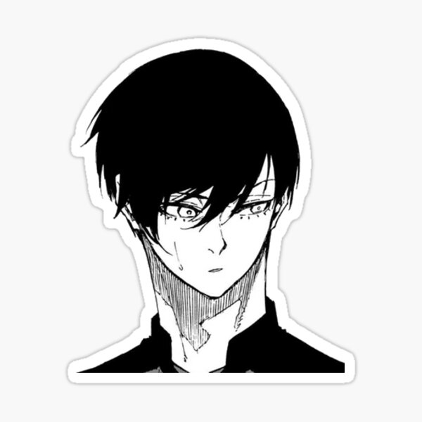 "Rin Itoshi (Blue Lock)" Sticker for Sale by alpha-Designs- | Redbubble