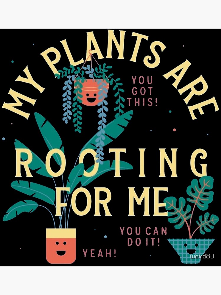 "You got this positivity inspirational you can do it cheerful Wet water ...