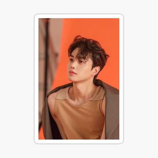 "Song Kang" Sticker for Sale by OtakuPH | Redbubble