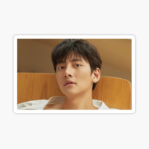 "Ji Chang Wook " Sticker for Sale by OtakuPH | Redbubble