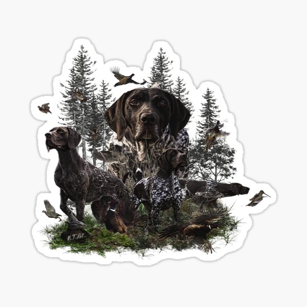"German Shorthaired Pointer, Bird hunting season" Sticker for Sale by ...