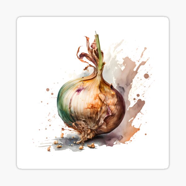 "Kitchen art - Onion" Sticker for Sale by EmilyDayDreams | Redbubble