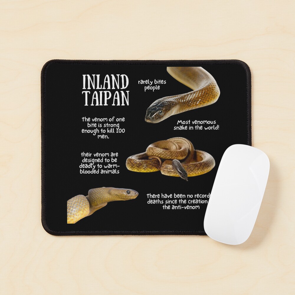 "Inland Taipan Snake Fun Facts" Poster for Sale by KyleNesas | Redbubble
