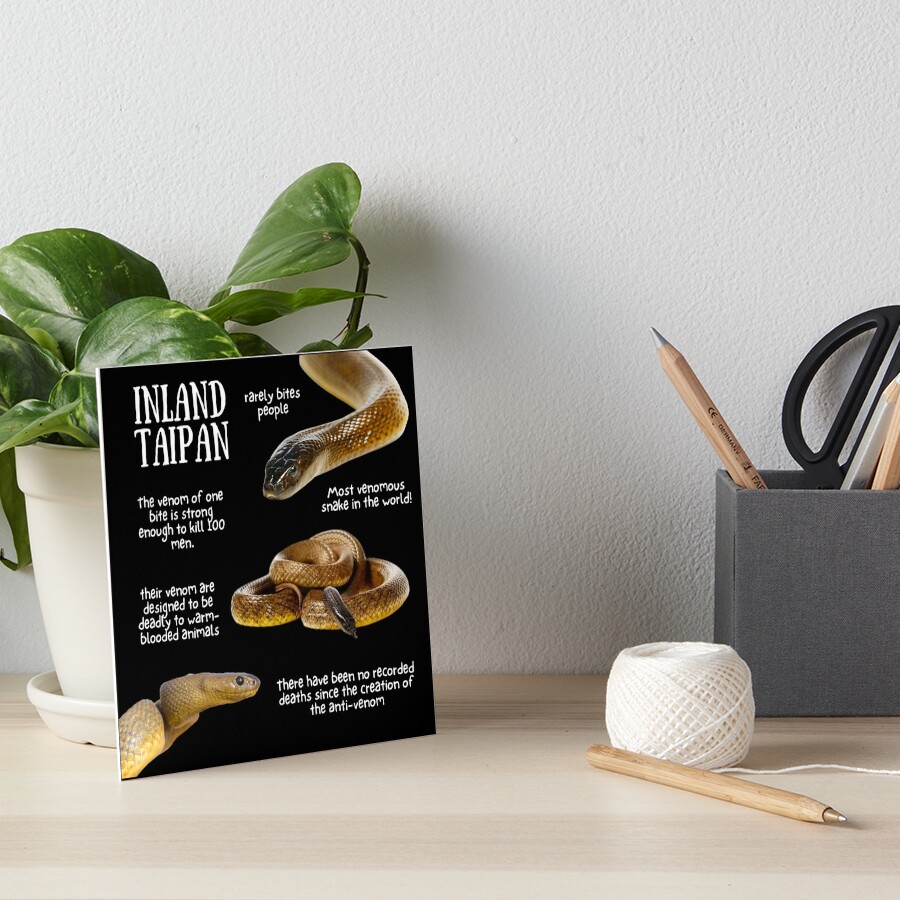 "Inland Taipan Snake Fun Facts" Poster for Sale by KyleNesas | Redbubble