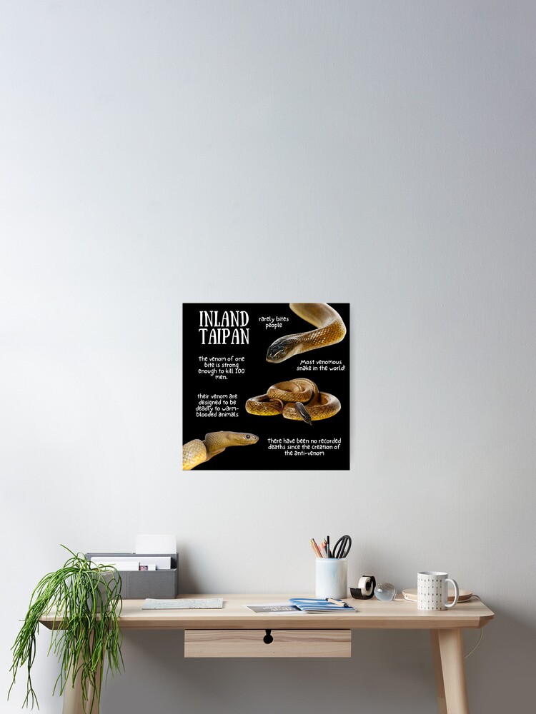 "Inland Taipan Snake Fun Facts" Poster for Sale by KyleNesas | Redbubble