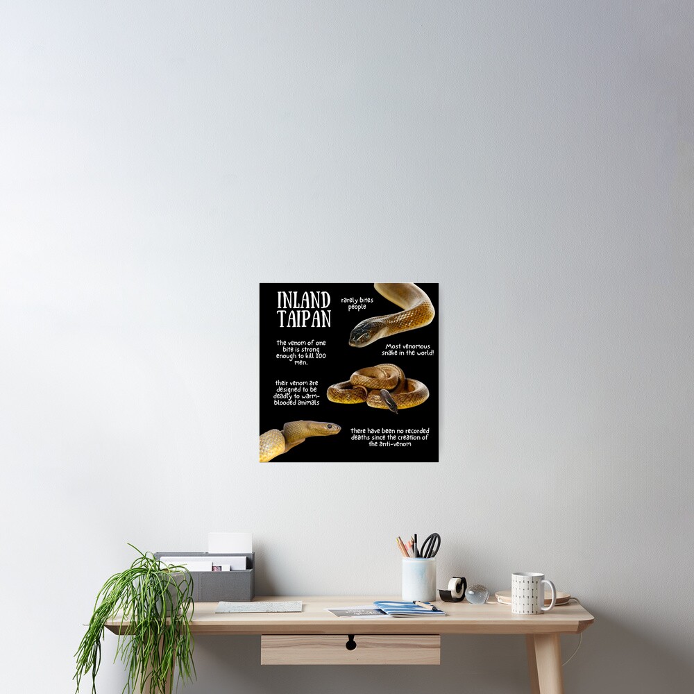 "Inland Taipan Snake Fun Facts" Poster for Sale by KyleNesas | Redbubble