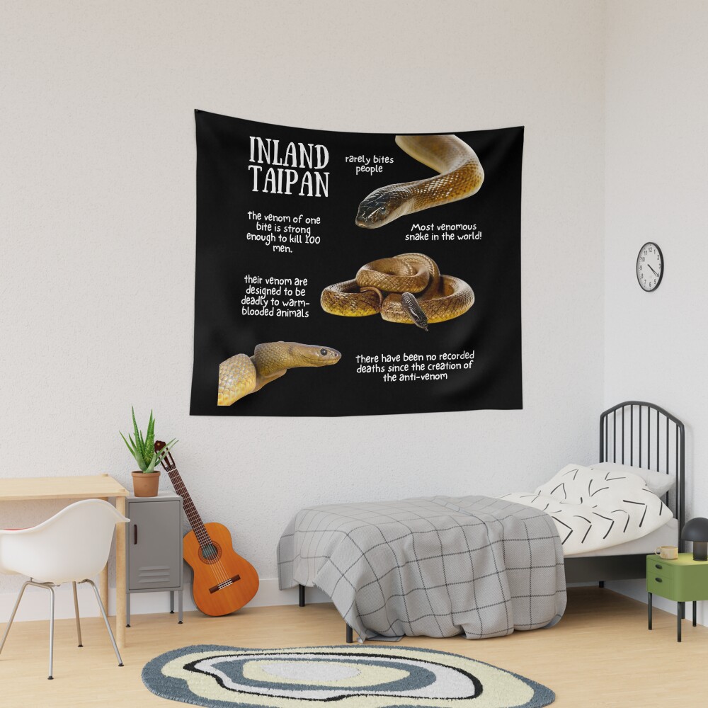 "Inland Taipan Snake Fun Facts" Poster for Sale by KyleNesas | Redbubble