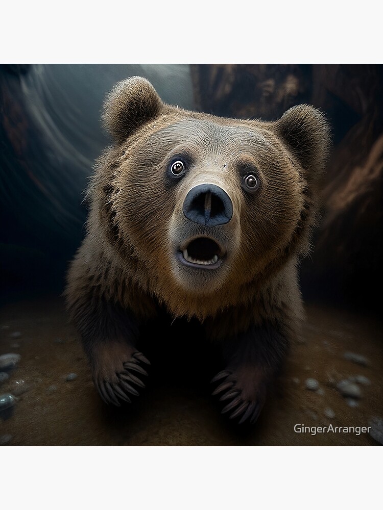 Shocked Bear Memes 40 Bear Themed Memes For Those Who Can't Get Enough