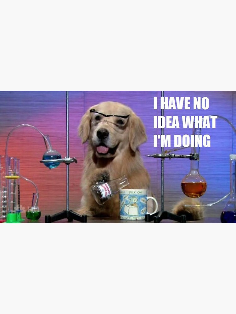 "I have no idea what I'm doing dog" Sticker for Sale by MemeTees69 | Redbubble