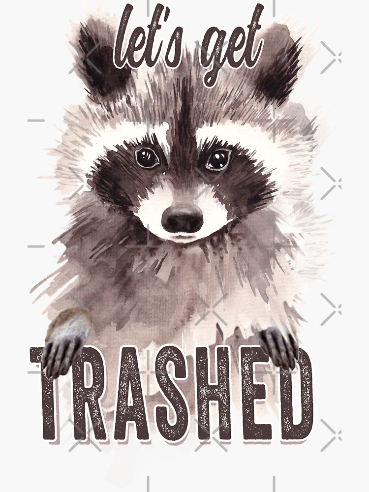 "Funny Raccoon Let’s Eat Trash Meme, Street Cat Trash Panda" Sticker ...