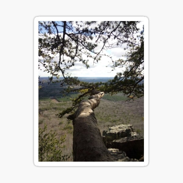 "Overhanging branch" Sticker for Sale by Daerohel | Redbubble