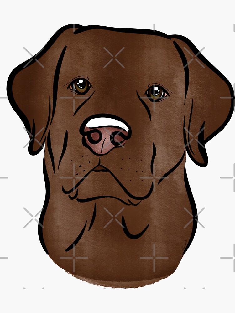 "A Chocolate Lab" Sticker for Sale by rmcbuckeye | Redbubble