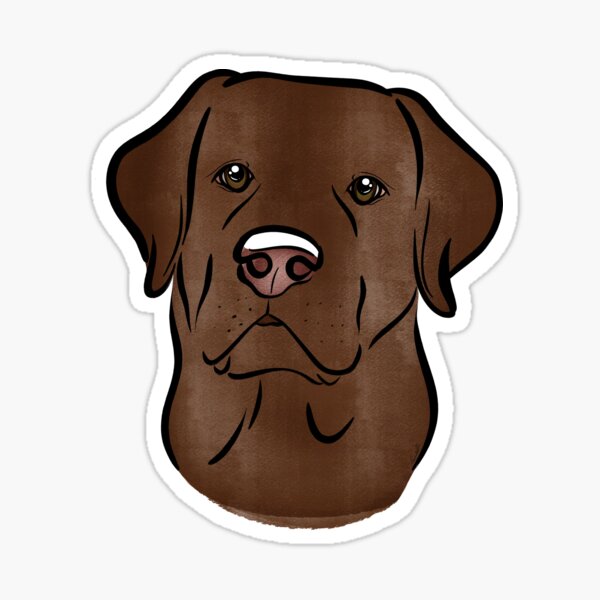 "A Chocolate Lab" Sticker for Sale by rmcbuckeye | Redbubble