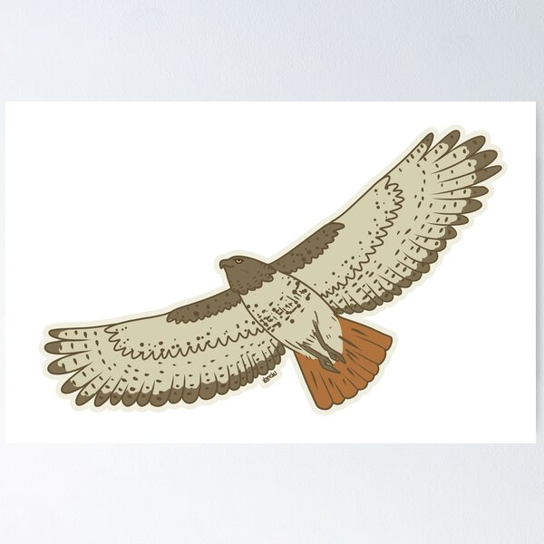"red tailed hawk" Poster for Sale by karmadogg | Redbubble
