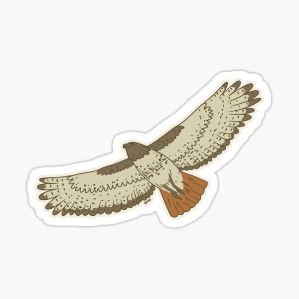 "red tailed hawk" Sticker for Sale by karmadogg | Redbubble