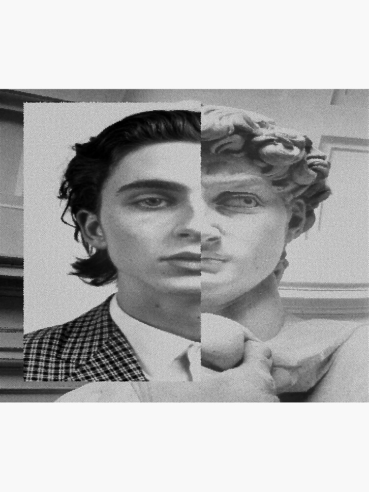 "David of Michelangelo x Timothy" Sticker for Sale by Zheap14 | Redbubble