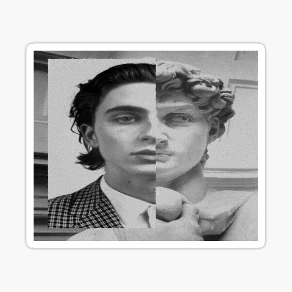 "David of Michelangelo x Timothy" Sticker for Sale by Zheap14 | Redbubble