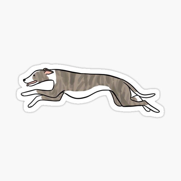 "Whippet dog cute illustration " Sticker for Sale by Yarafantasyart ...