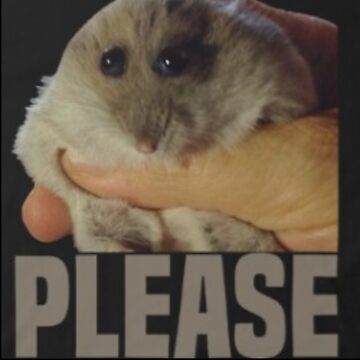 "Hampter meme Please" Poster by DreamMeArt | Redbubble