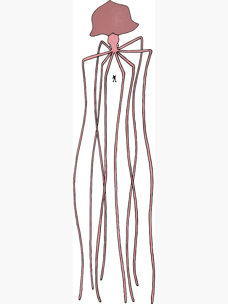 "Bigfin Squid" Poster for Sale by bekome | Redbubble
