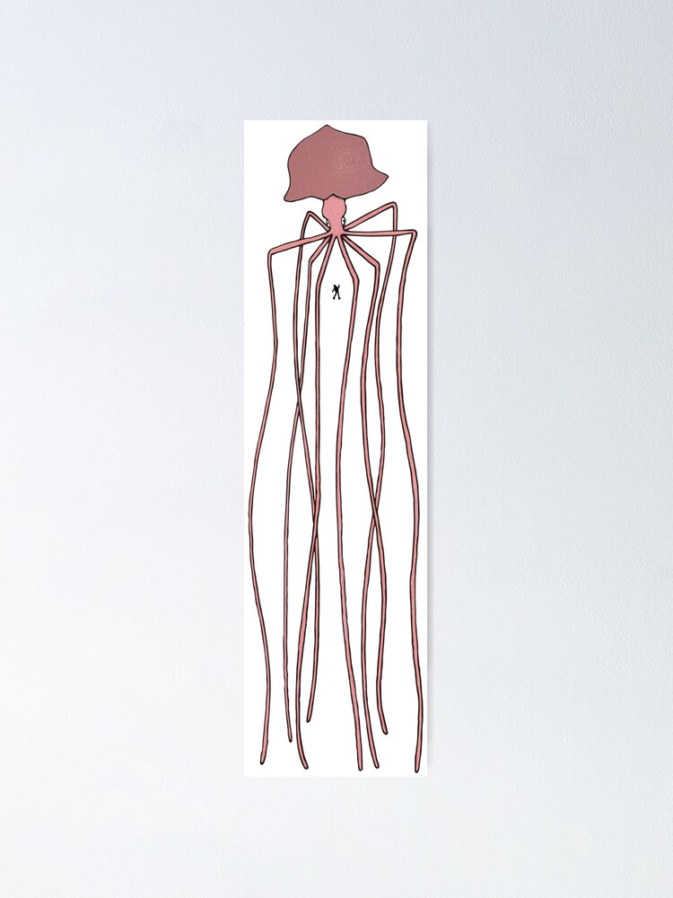 "Bigfin Squid" Poster for Sale by bekome | Redbubble