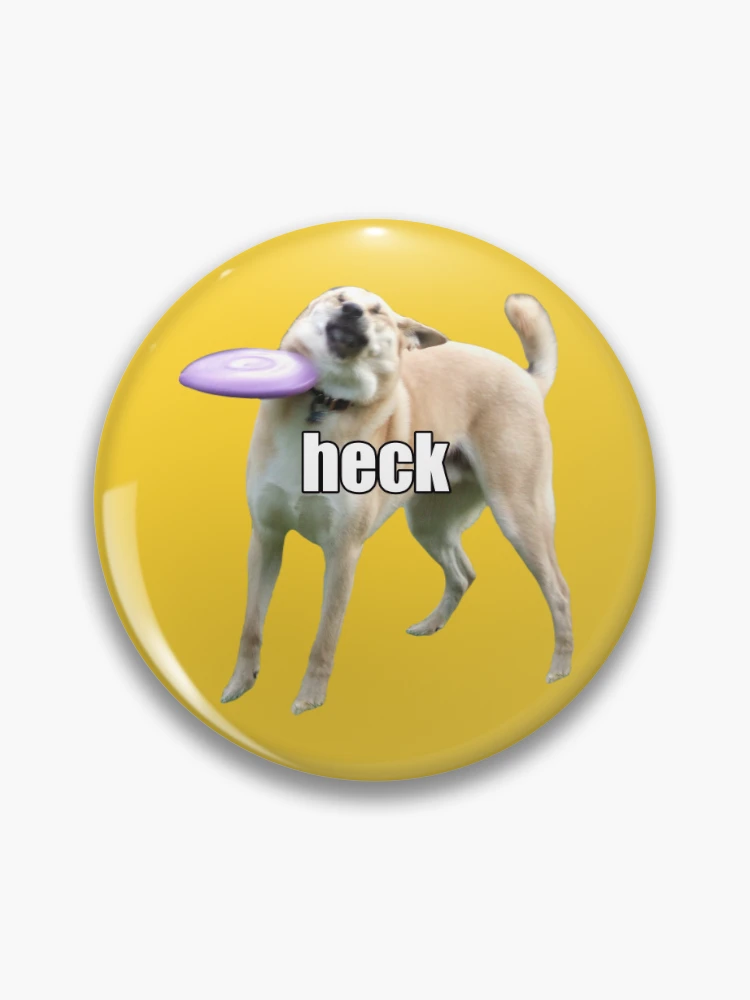 Doge Frisbee Memes