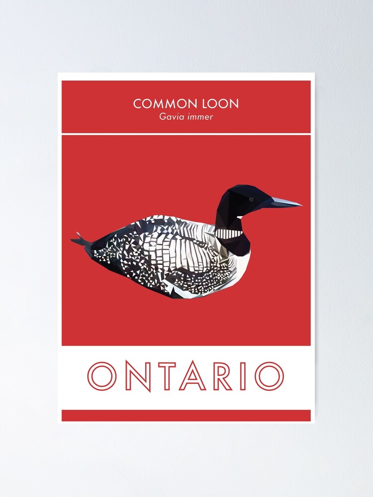 "Ontario - Common Loon" Poster for Sale by grainnedowney | Redbubble