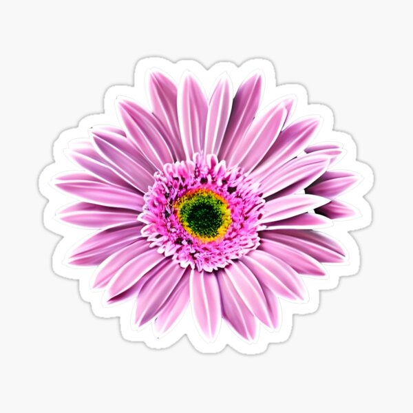 "Pink gerbera daisy" Sticker for Sale by gramizzia | Redbubble