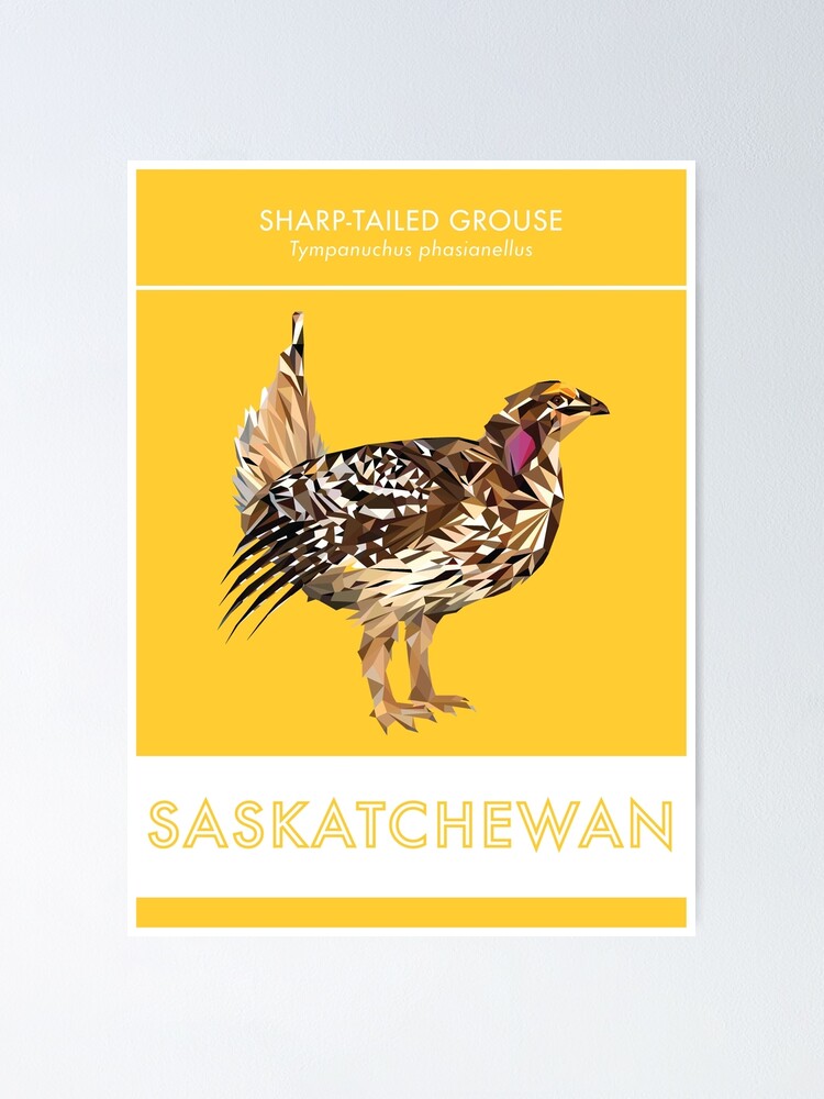"Saskatchewan - Sharp-tailed Grouse" Poster for Sale by grainnedowney ...