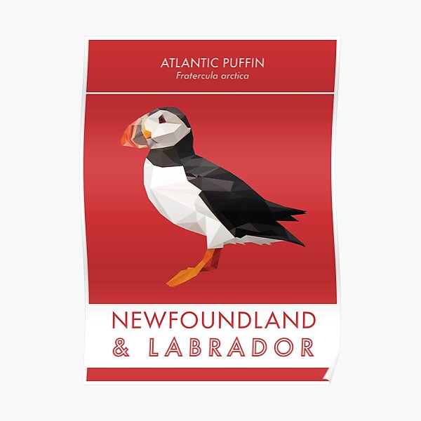 "Newfoundland and Labrador - Atlantic Puffin" Poster for Sale by ...