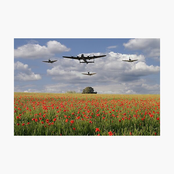"Over The Poppy Fields " Photographic Print for Sale by aviationart ...