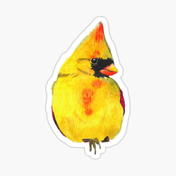 "Little Yellow Bird, Female Cardinal" Sticker for Sale by ...