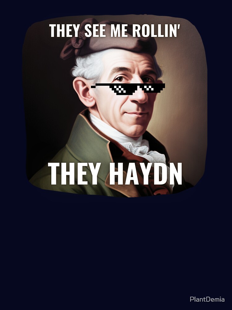 Haydn Memes