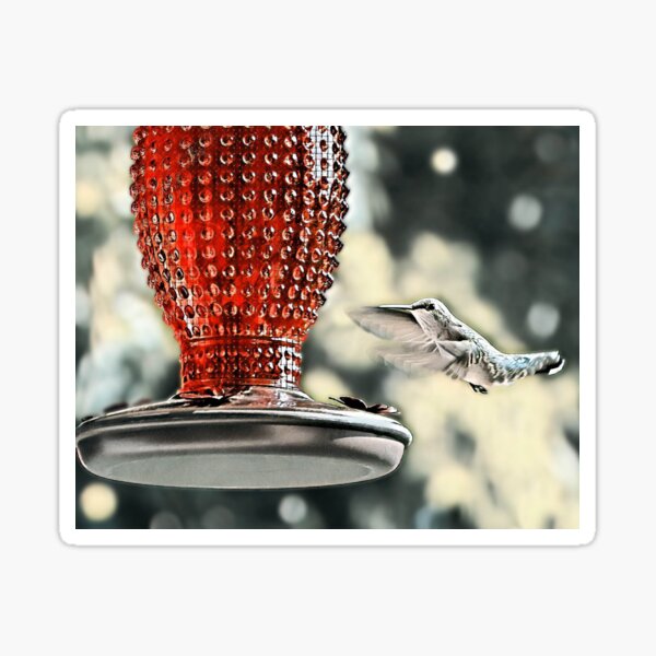 "Hummingbird Red Feeder" Sticker for Sale by MaryLinH | Redbubble
