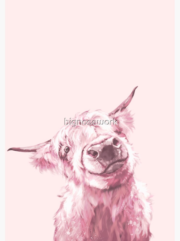 "Highland Cow in Pink" Sticker for Sale by bignosework | Redbubble