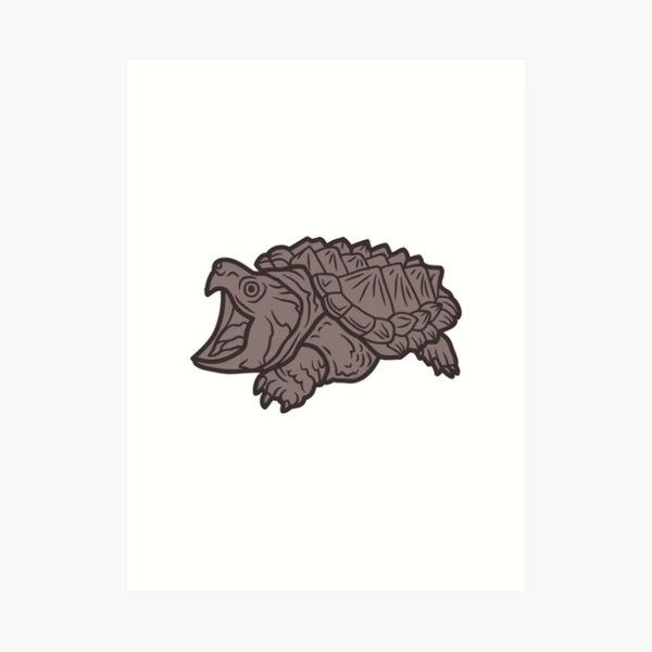 How To Draw An Alligator Snapping Turtle Printable Step By