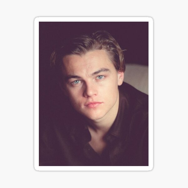 "Leonardo DiCaprio - Poster" Sticker for Sale by Floriandf | Redbubble
