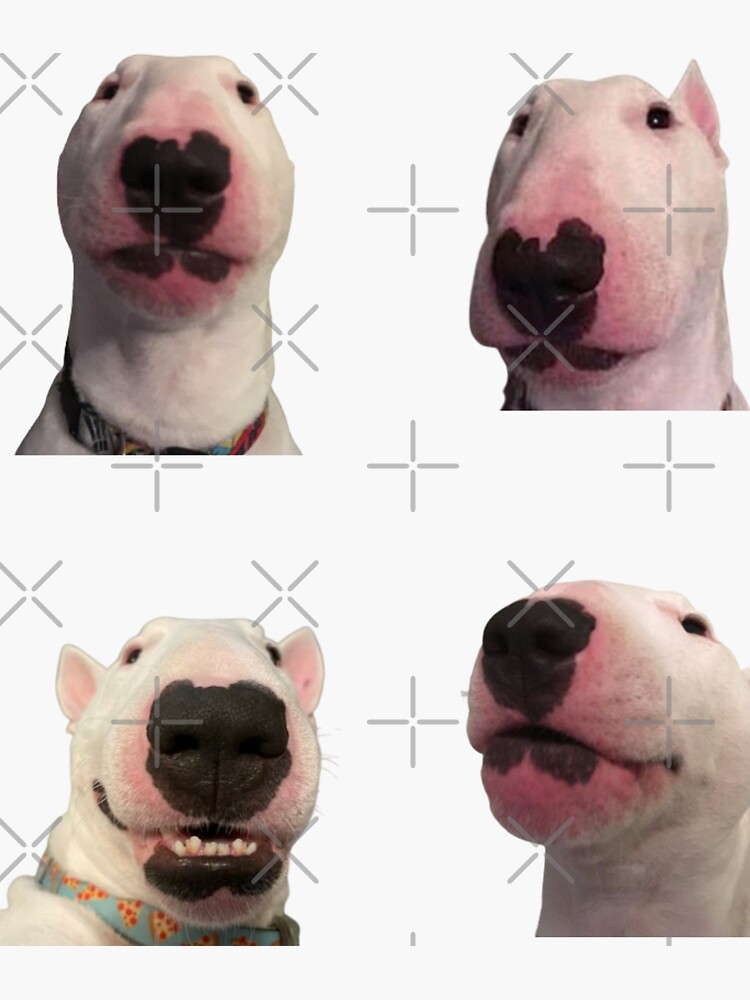 "Walter the dog meme puppernelson sticker pack" Sticker for Sale by ...