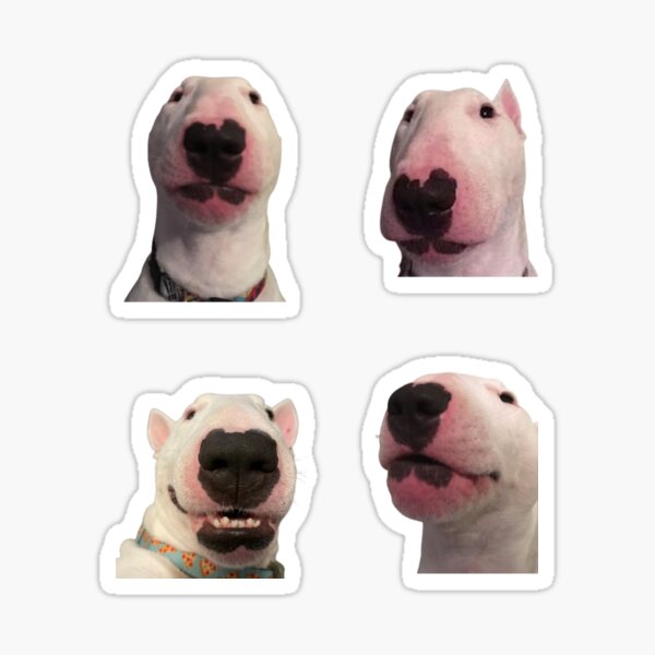 "Walter the dog meme puppernelson sticker pack" Sticker for Sale by ...
