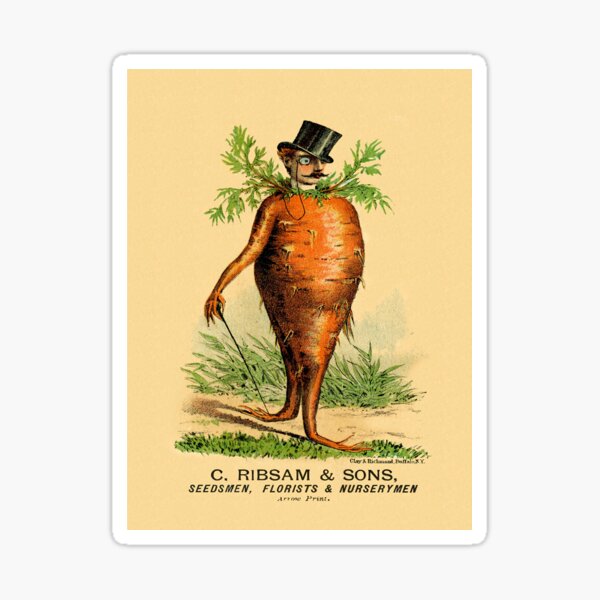 "Victorian Carrot Man. Vintage Kitchen Art. Vintage Illustration ...