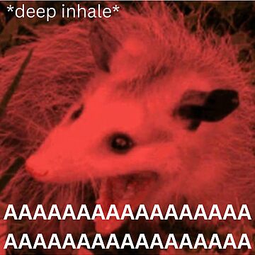 "Screaming Existential Possum Opossum Meme Funny Cute " Greeting Card ...